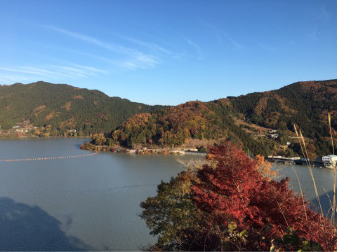 %e6%b1%a0%e7%94%b0%e3%81%95%e3%82%93%e3%83%96%e3%83%ad%e3%82%b0 ...